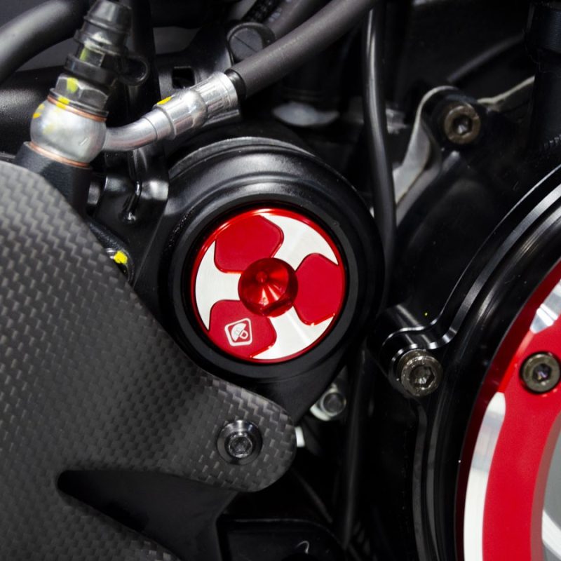 Ducabike Ducati Diavel V4 Centre Swingarm Frame Cap Plugs | Conquest ...